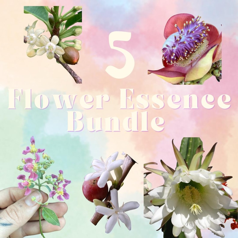 5 Flower Essence Bundle - Etsy