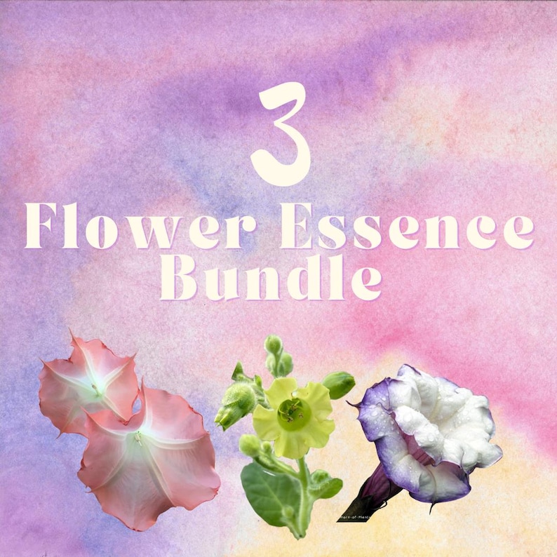 3 Flower Essence Bundle - Etsy
