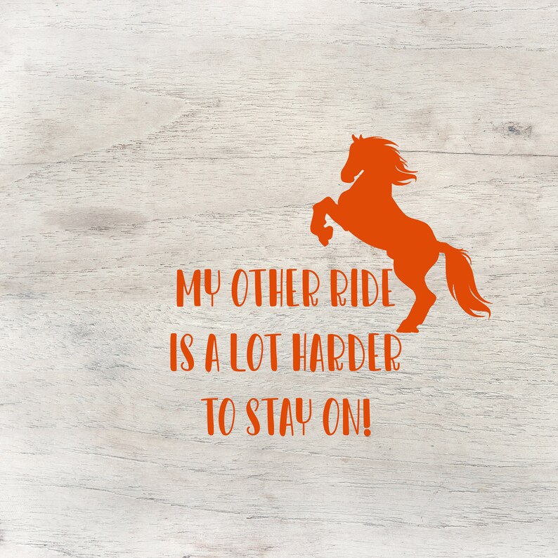 My Other Ride is a Lot Harder to Stay On Bumper Stickers for | Etsy