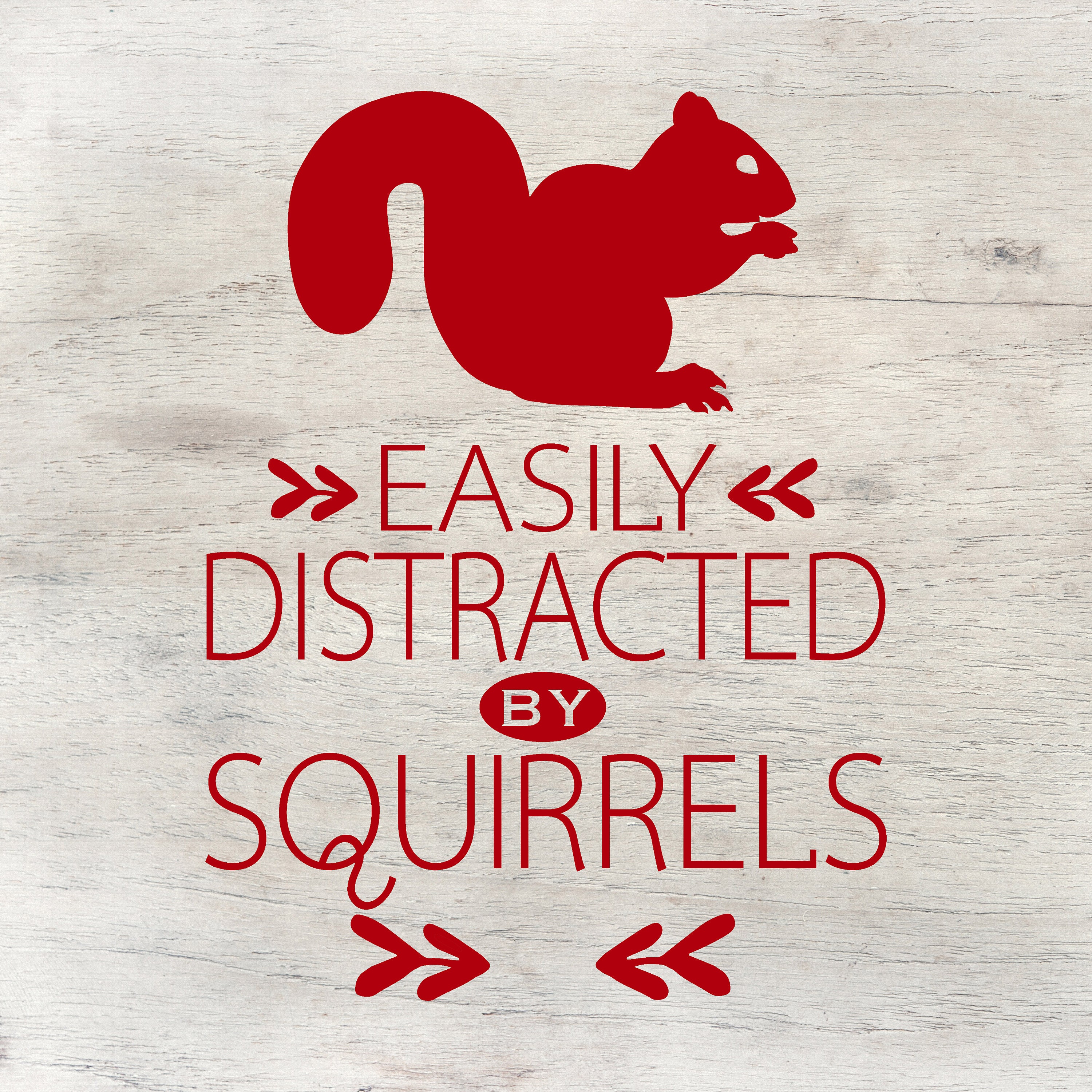 Easily Distracted by Squirrels Funny Bumper Stickers for - Etsy