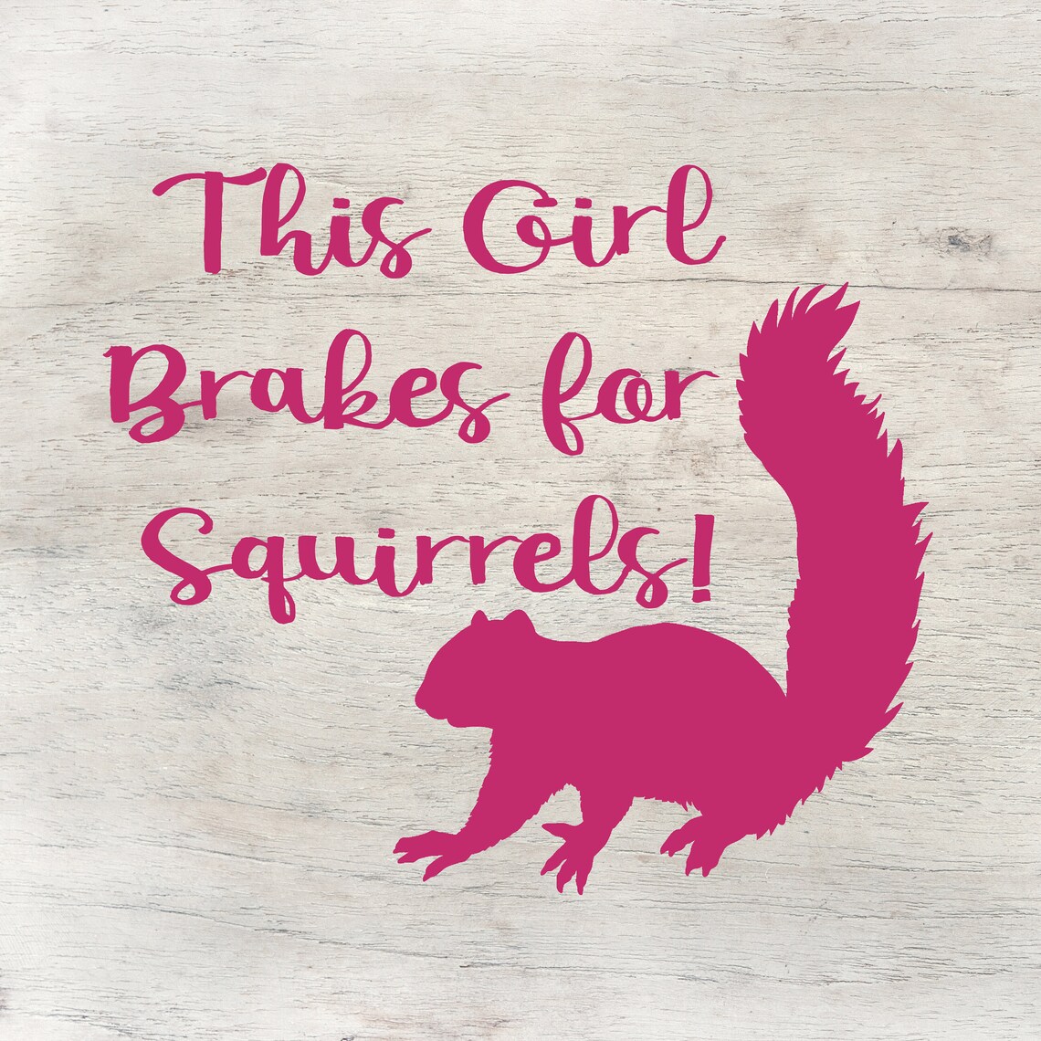 Brakes for Squirrels, Funny Bumper Stickers for Squirrel Lovers, Animal ...