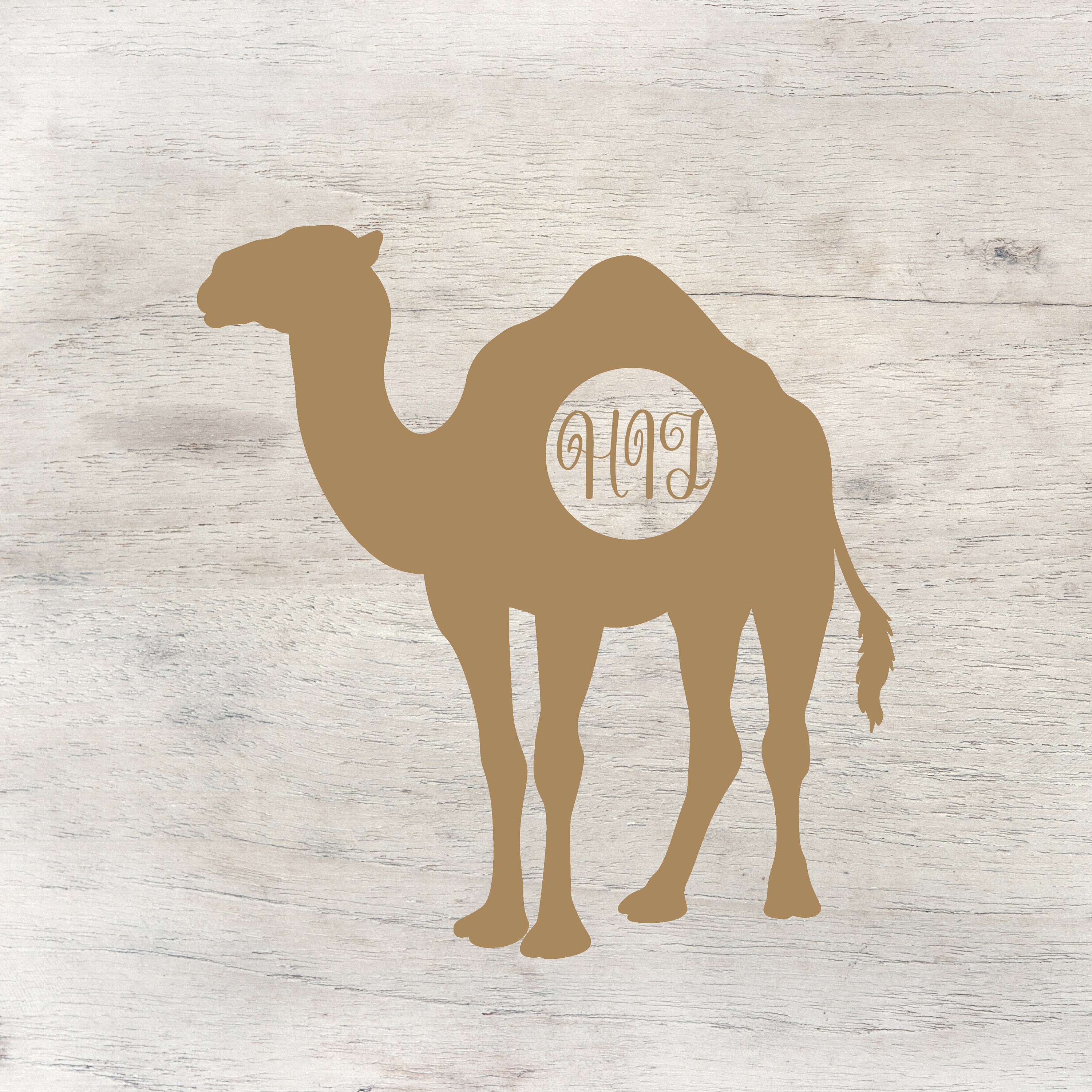 Custom Vinyl Decal for Camel Lovers, Personalized Decals With Name ...