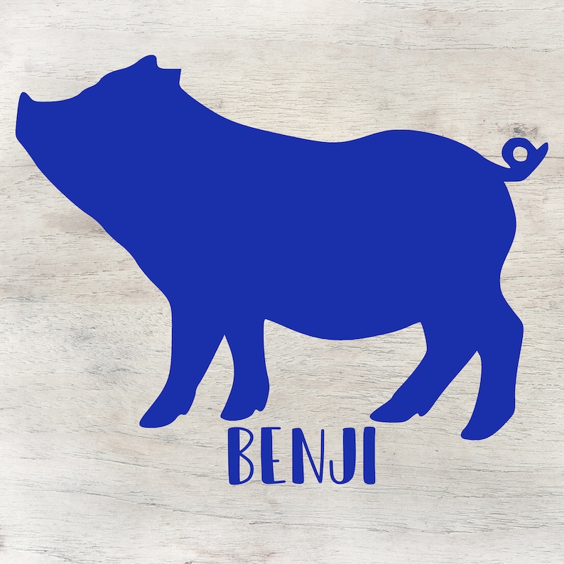 Custom Vinyl Decal for Pig Lovers Personalized Decals With - Etsy