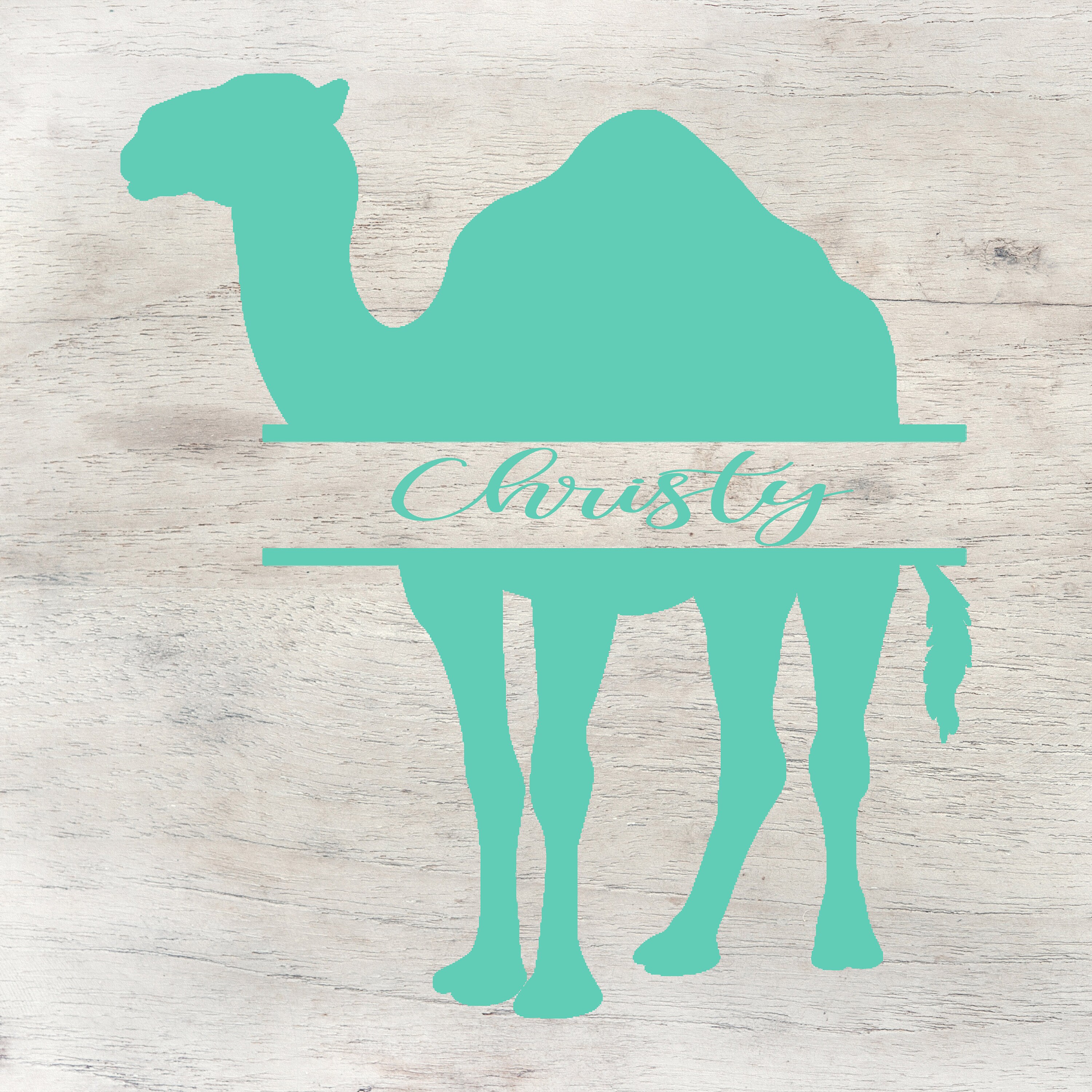Custom Vinyl Decal for Camel Lovers Personalized Decals With - Etsy