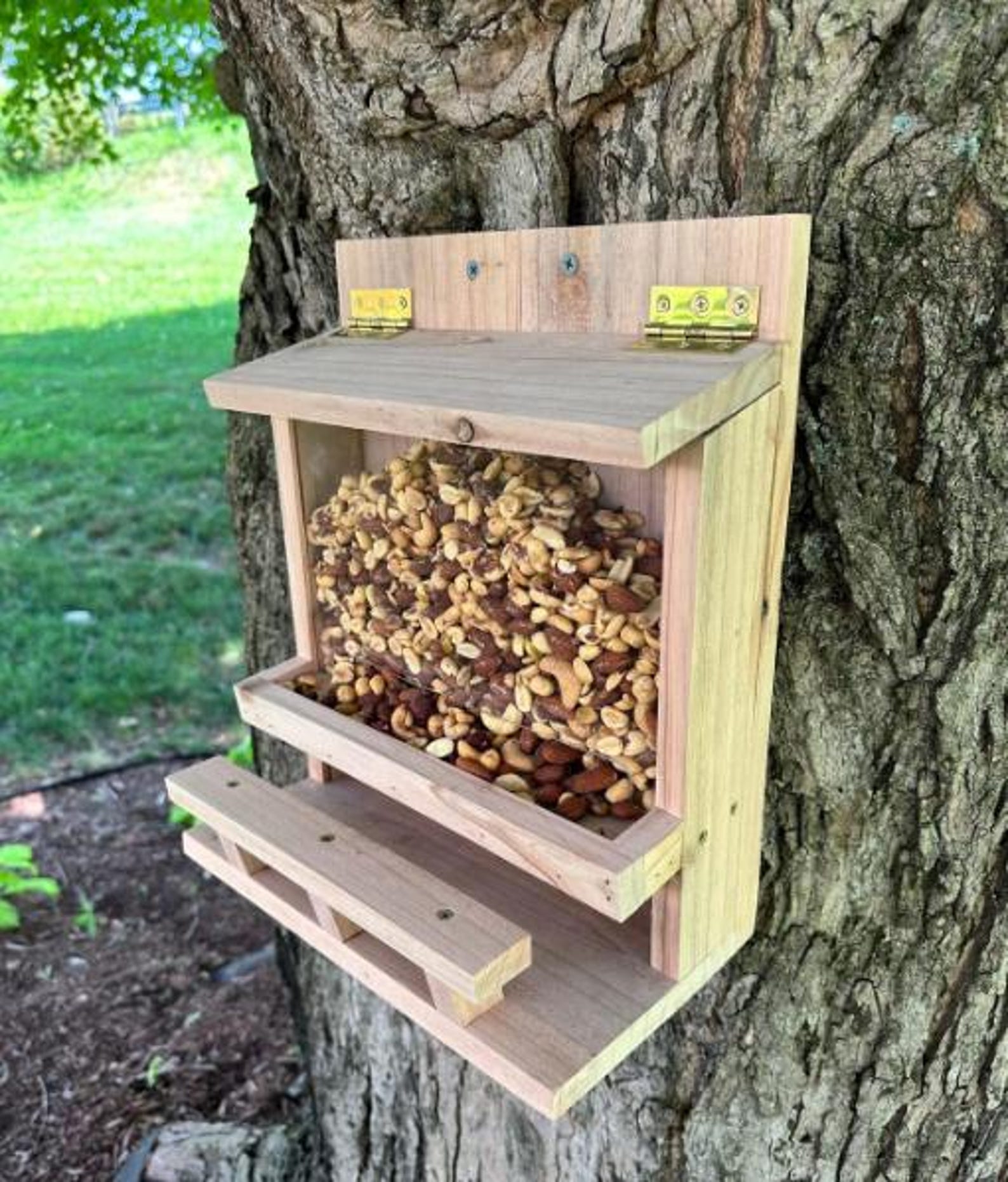 Squirrel Bar, Squirrel Feeder, Pet Feeder, Bird Feeder, - Etsy