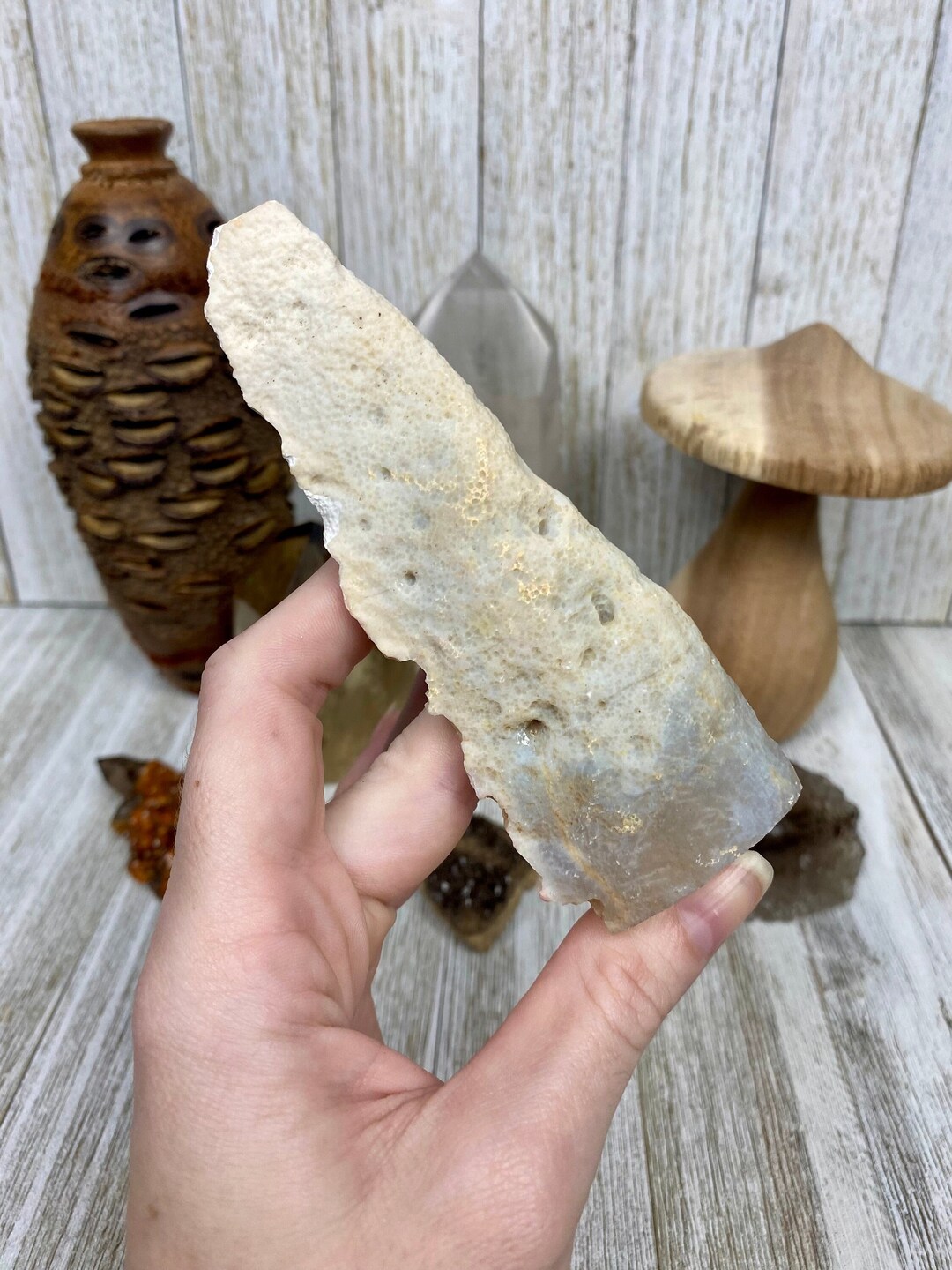 Fossil Ocean Creature Unique Arrow Shape - Etsy