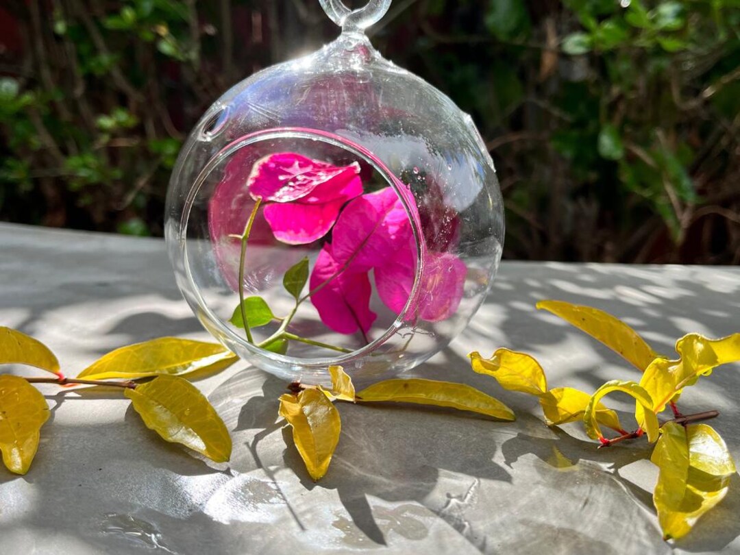 6 PCS Clear Glass Hanging Orbs D-4 H-4.5 - Etsy