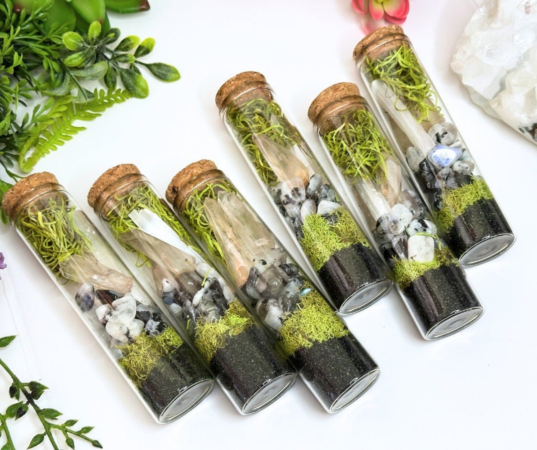 Moonstone Terrarium Crystal Spell Jar With Quartz, Prosperity Intention ...