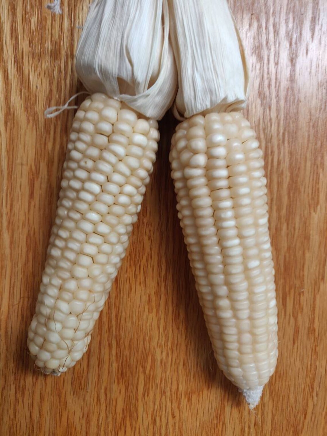 White Waxy Corn 50 Seeds High Glutinous Organic Sweet Corn Bap - Etsy ...