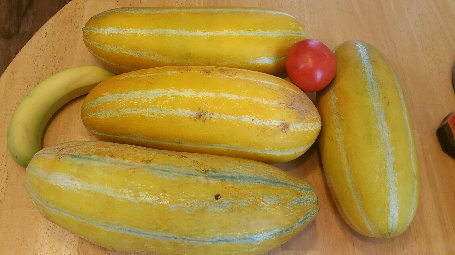 50 Thai Melon Vietnam Dua Gang Seeds Musk Melon Long Muskmelon Asian ...