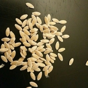 50 Thai Melon Vietnam Dua Gang Seeds Musk Melon Long Muskmelon Asian ...