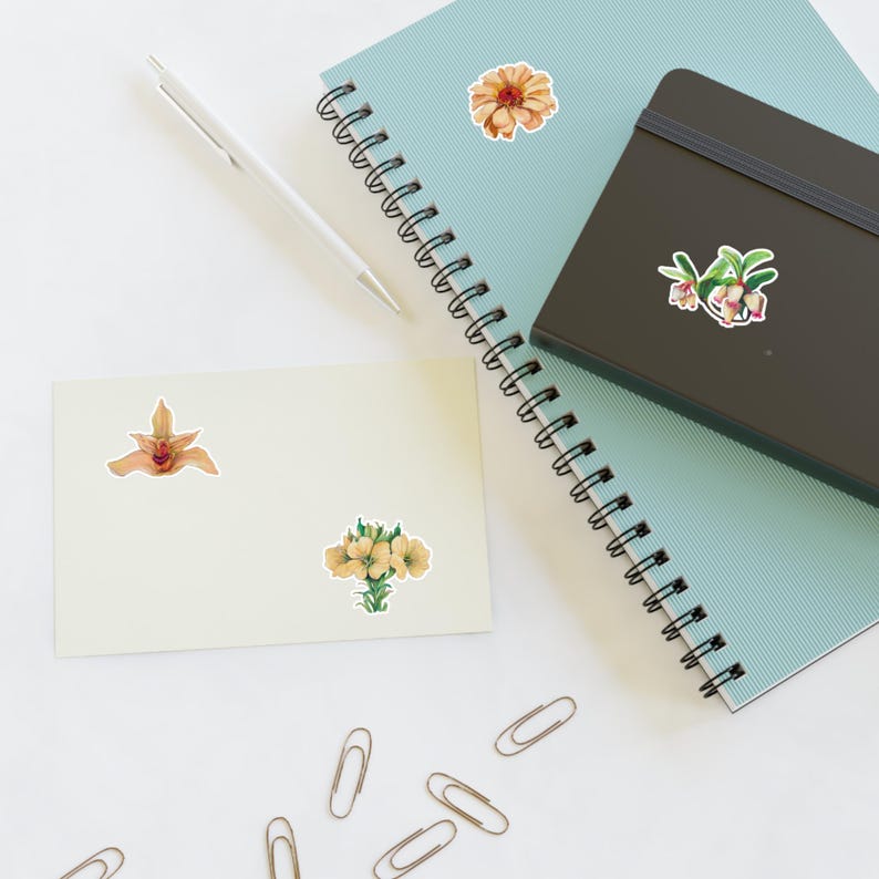 Flower Stickers, Floral Sticker Sheet, Hand Drawn Coloured Pencil Art ...
