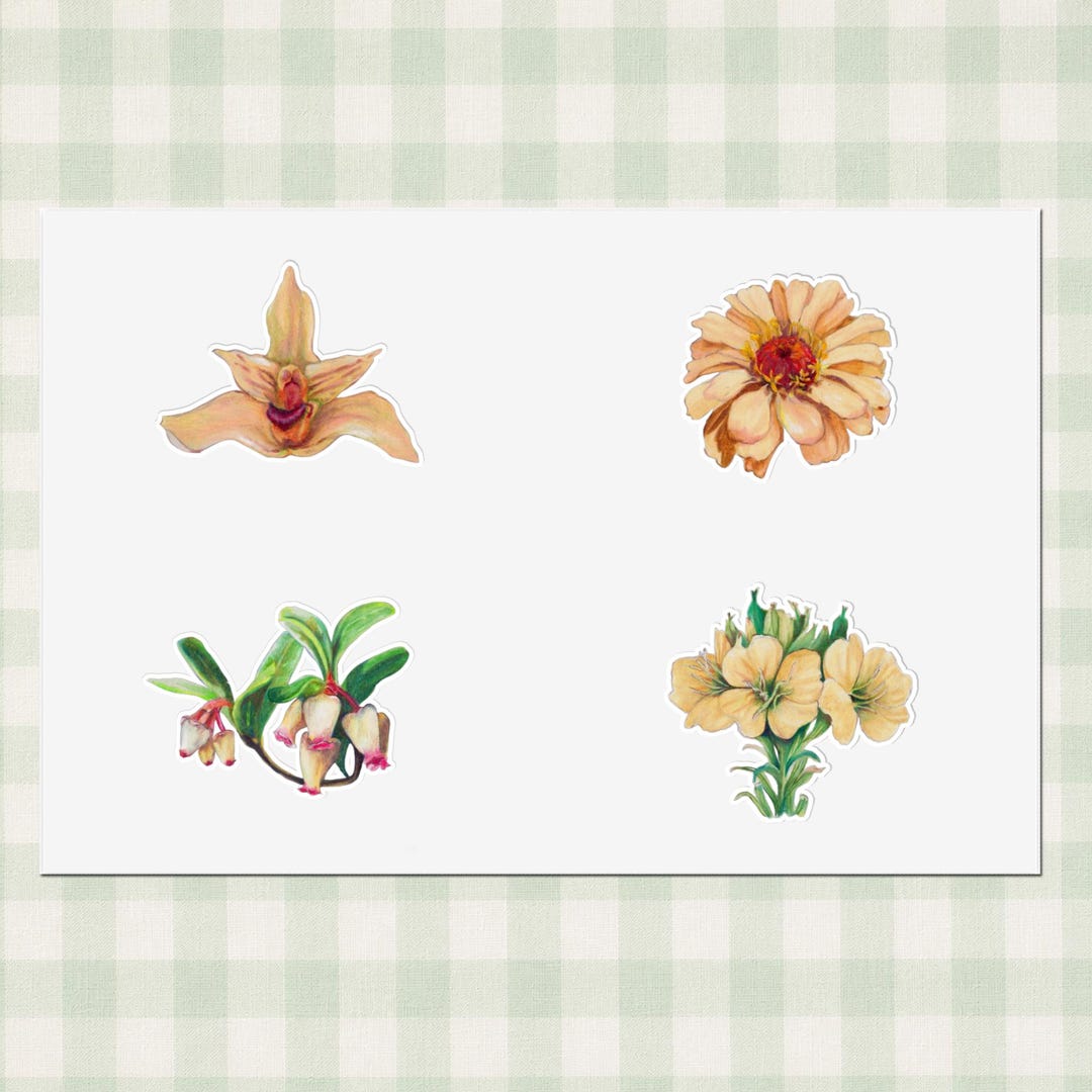 Flower Stickers, Floral Sticker Sheet, Hand Drawn Coloured Pencil Art ...