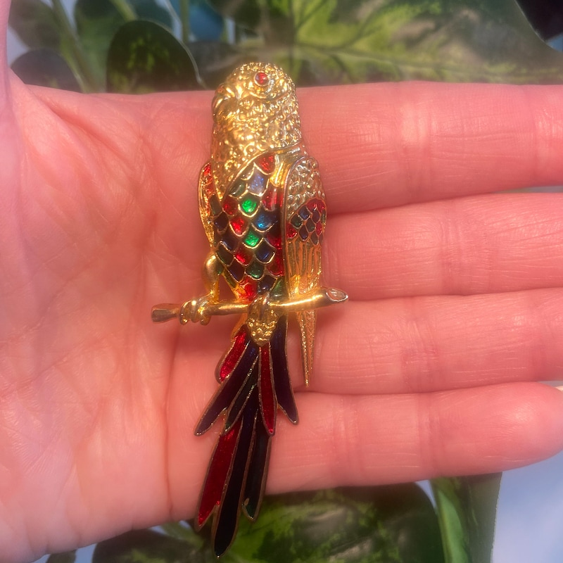 Parrot Jewelry - Etsy