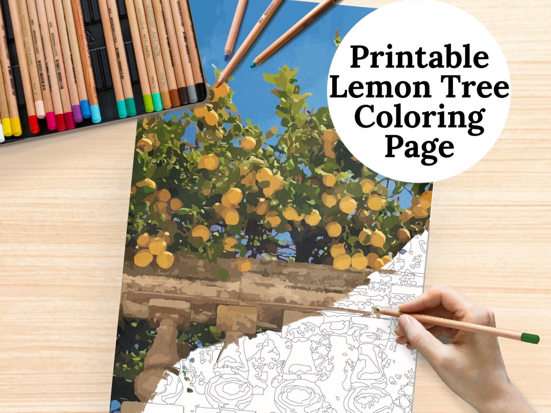Lemon Tree Coloring Page Relaxation Coloring for Adults - Etsy