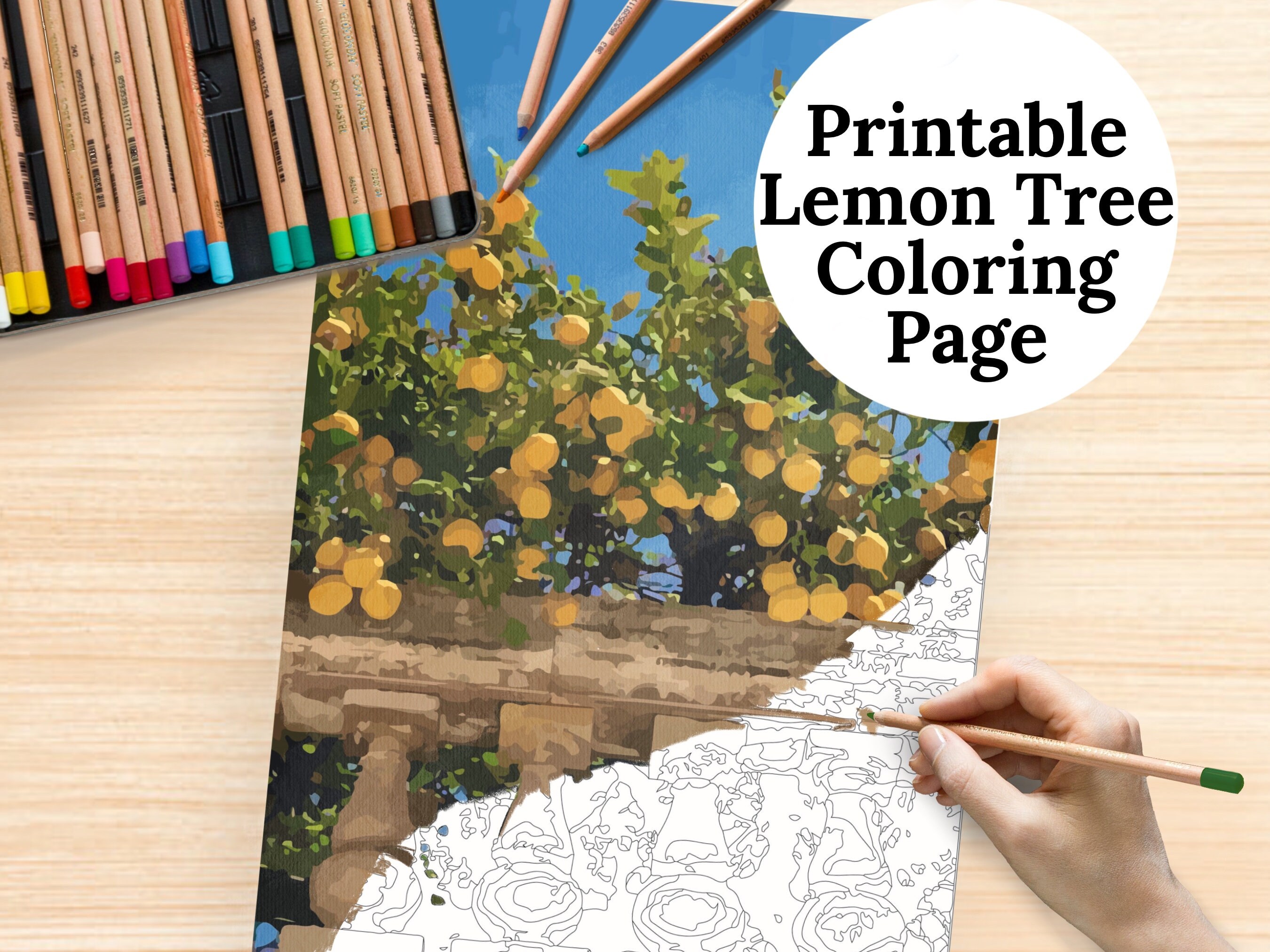 Lemon Tree Coloring Page Relaxation Coloring for Adults - Etsy