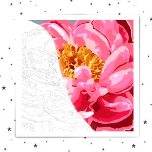Peony Paint by Numbers for Adults Pink Peonies Flower - Etsy