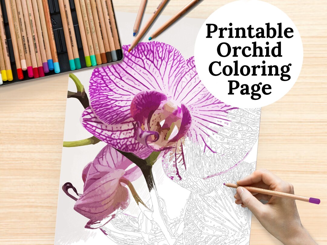 Orchid Colouring Page Floral Coloring for Adults Digital and Printable ...