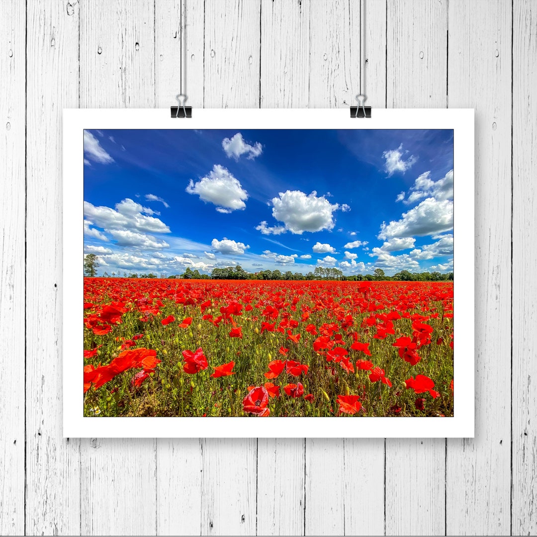 Poppy Field Poster Wall Nature Art Print, English Countryside Landscape ...