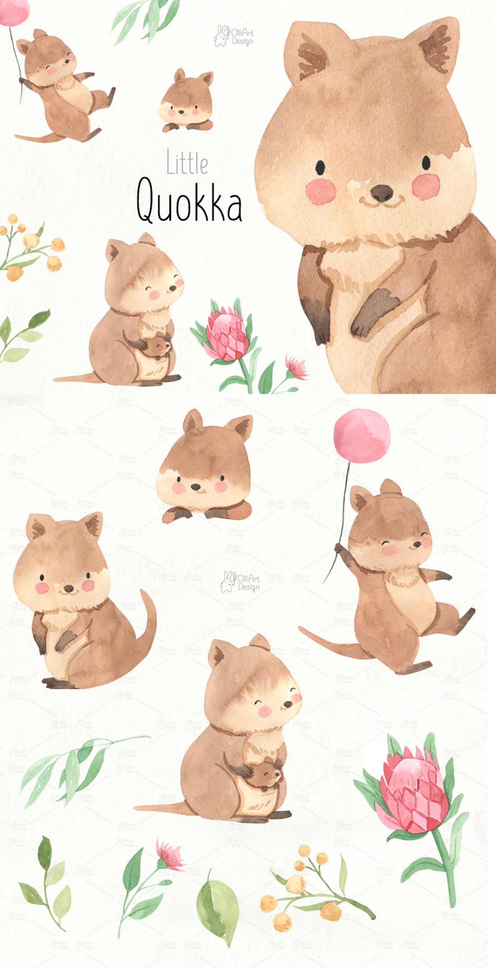 Quokka Clipart. Watercolor Australian Animal Clip Art | Etsy