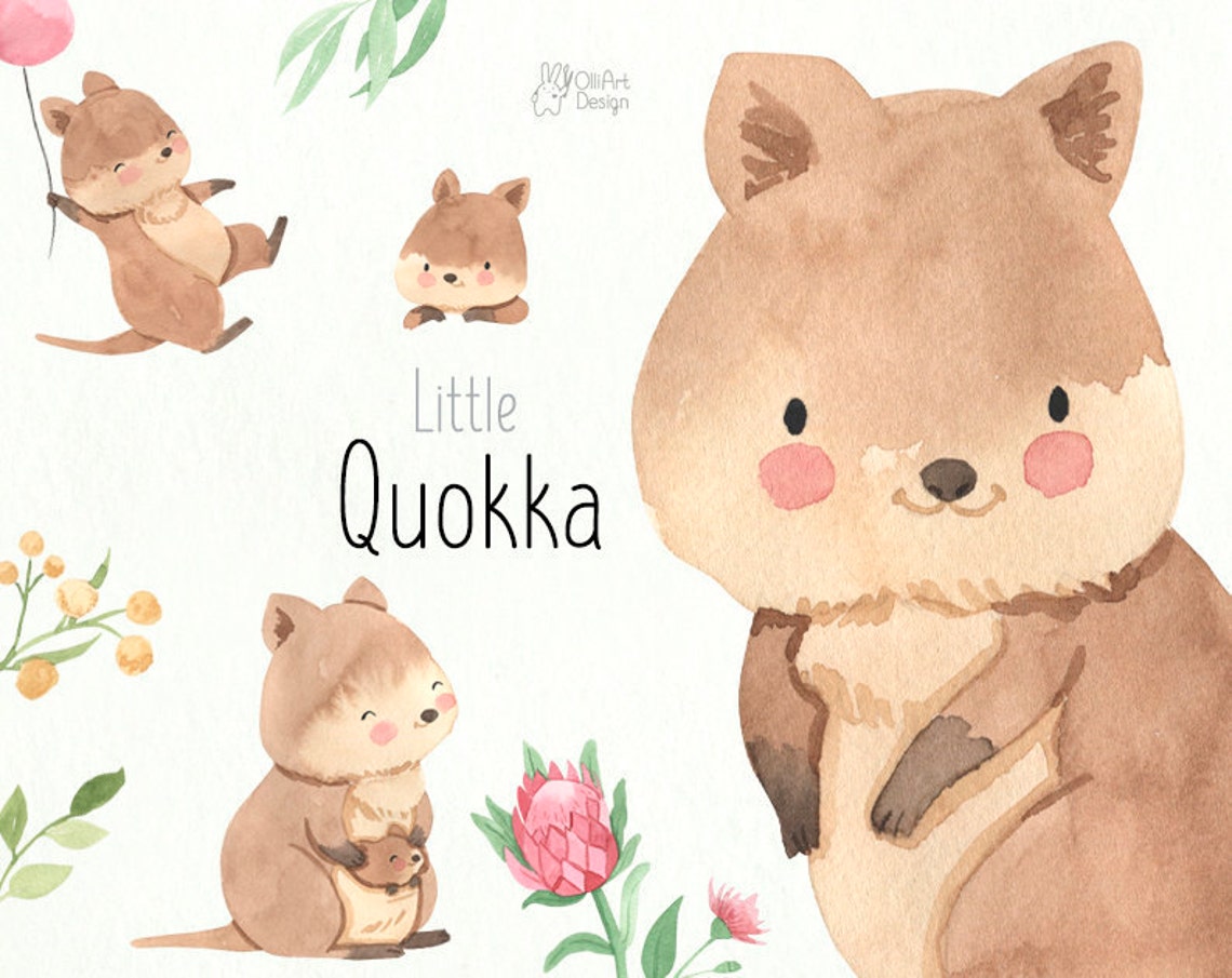 Quokka Clipart. Watercolor Australian Animal Clip Art | Etsy