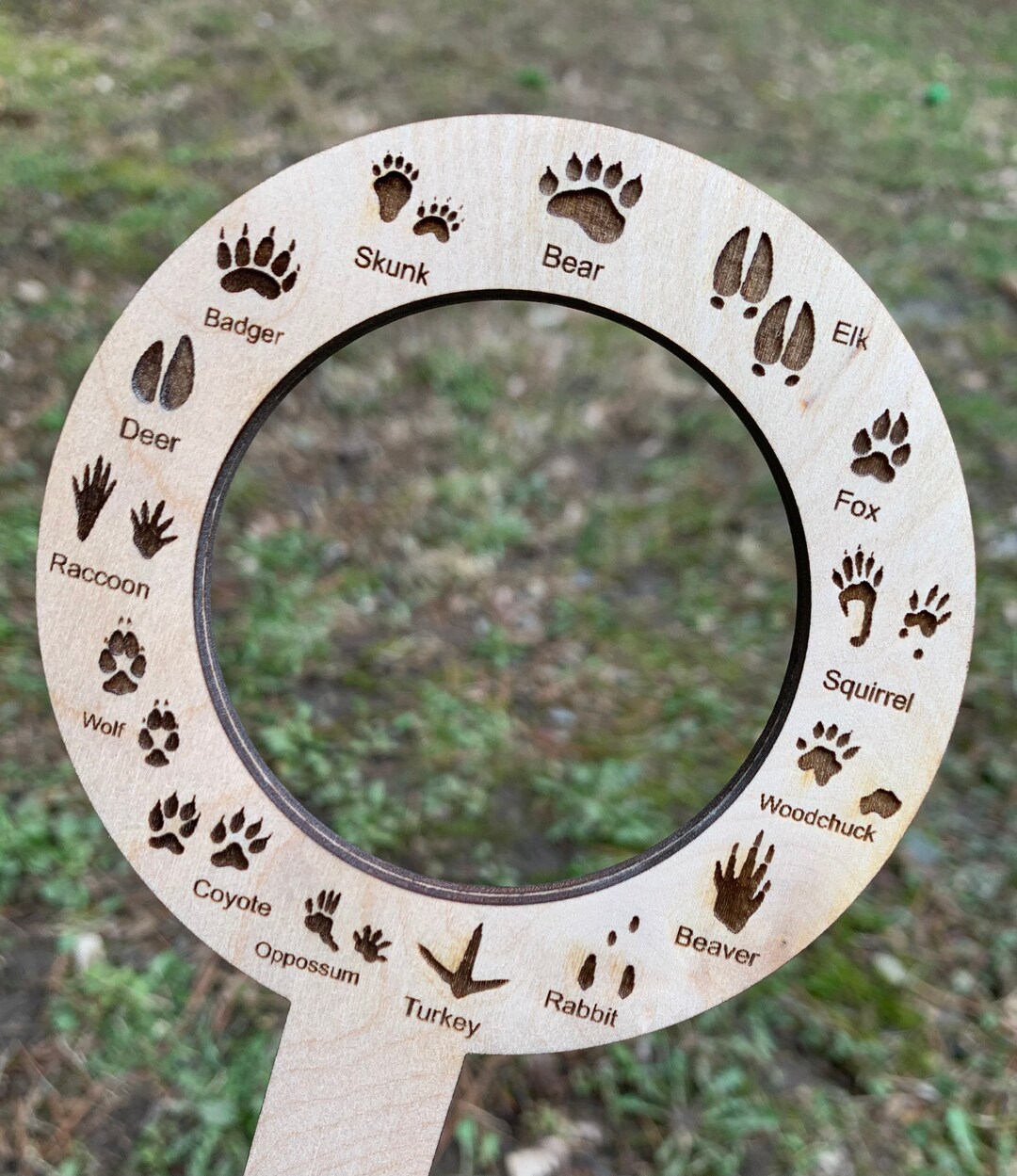 Nature Identifier Wand, Nature Scavenger Hunt, Bug Identifier, Animal ...