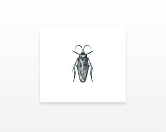 Cockroach Temporary Tattoo Sticker set of 2 - Etsy