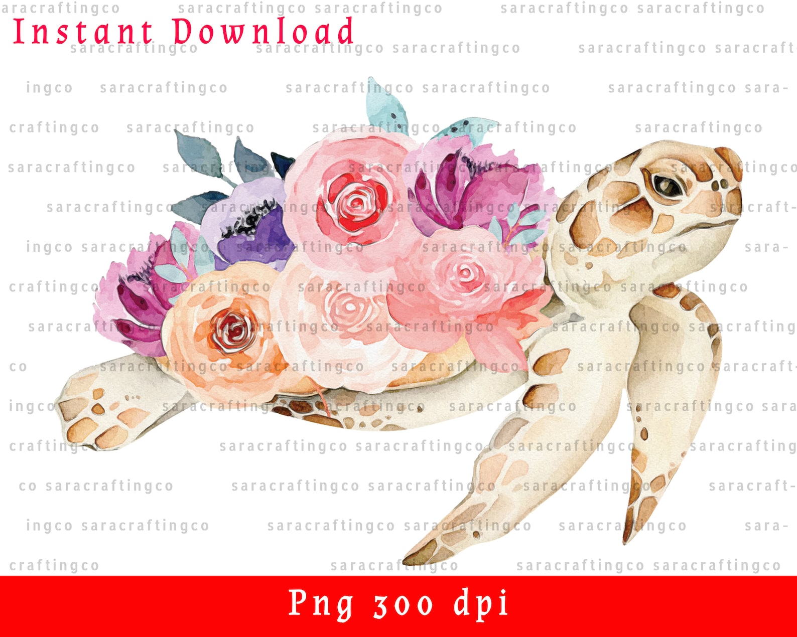 Watercolor Turtle Png With Flower Cute Sea Turtle Floral - Etsy