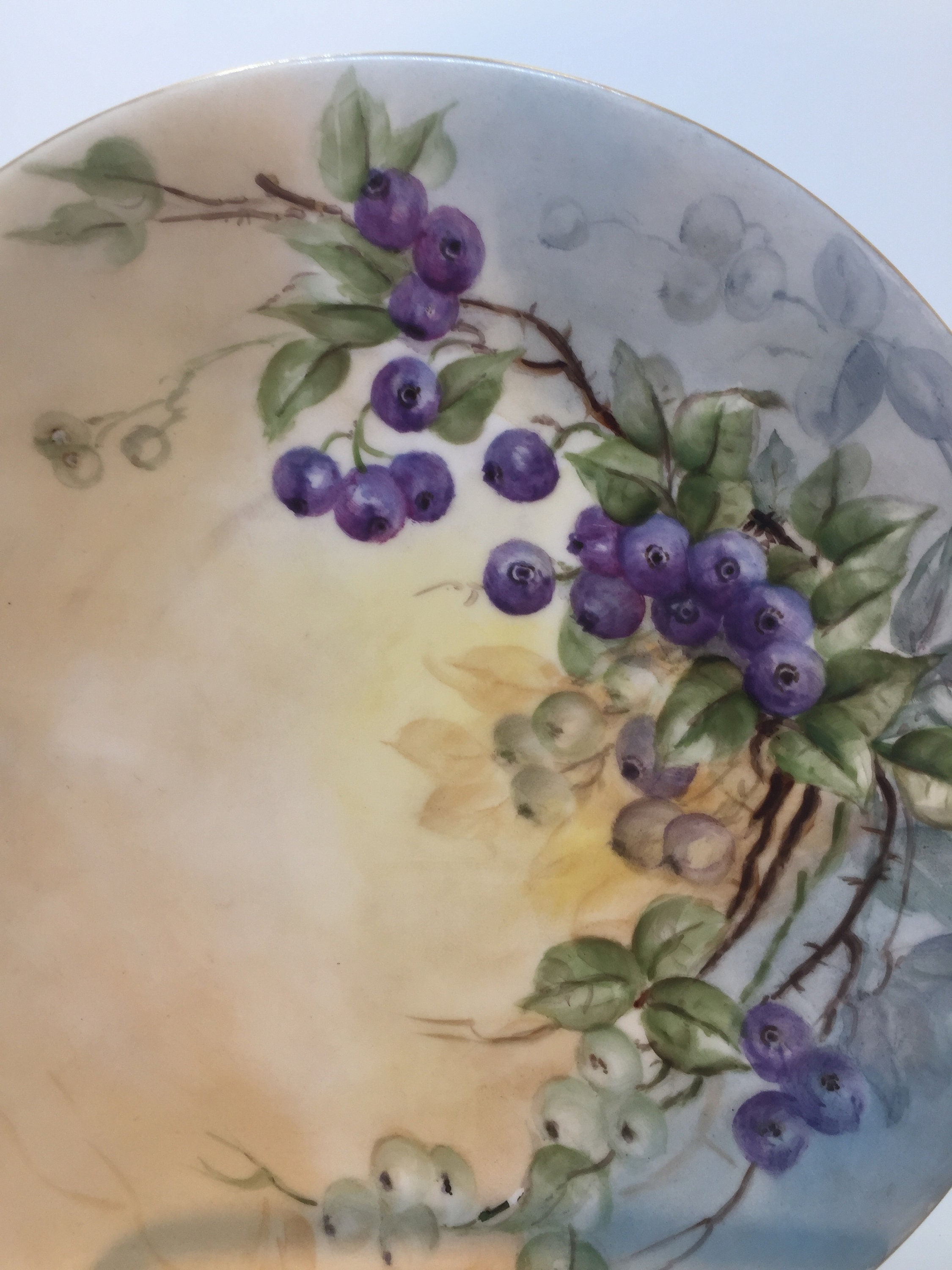 Limoges Hand Painted Berry Plates - Etsy