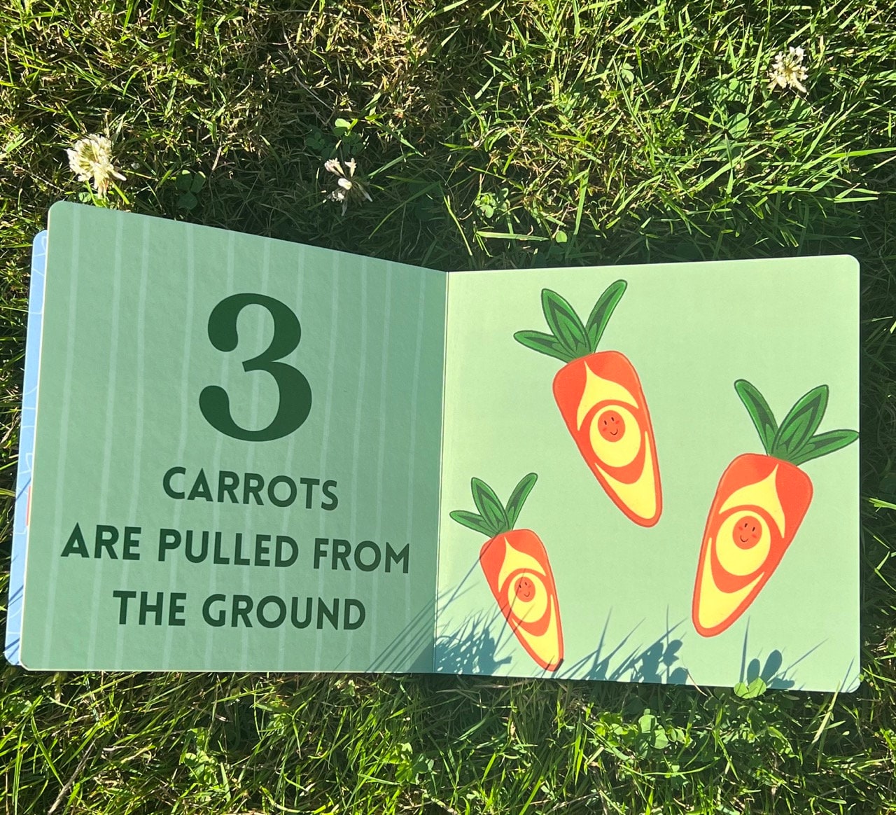 Coast Salish Kids Book Native American Kids Board Book Coast Salish ...