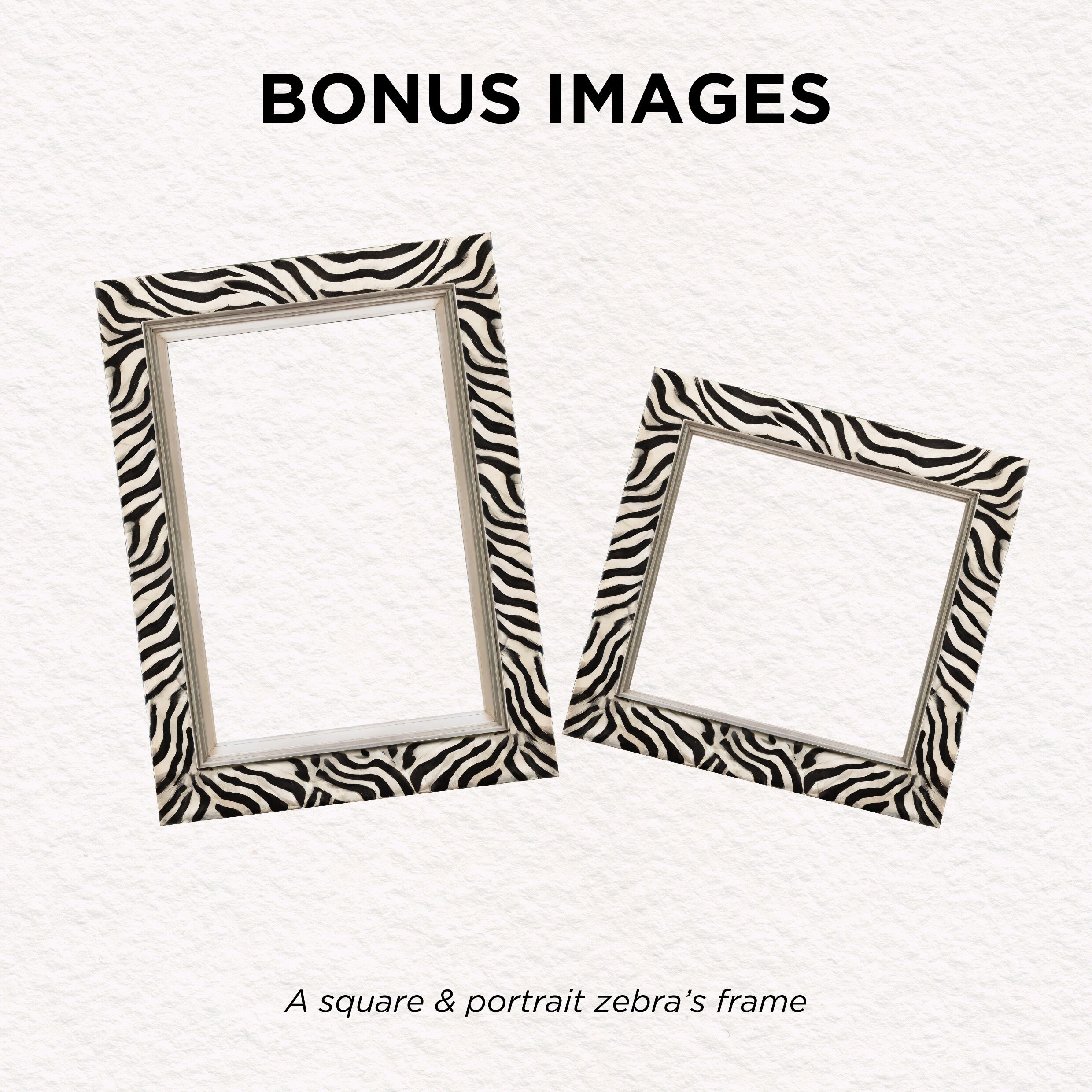 Zebra Fur PNG, Wild Animal Letters, Font, 3D Letters, Alphabet, Digital ...