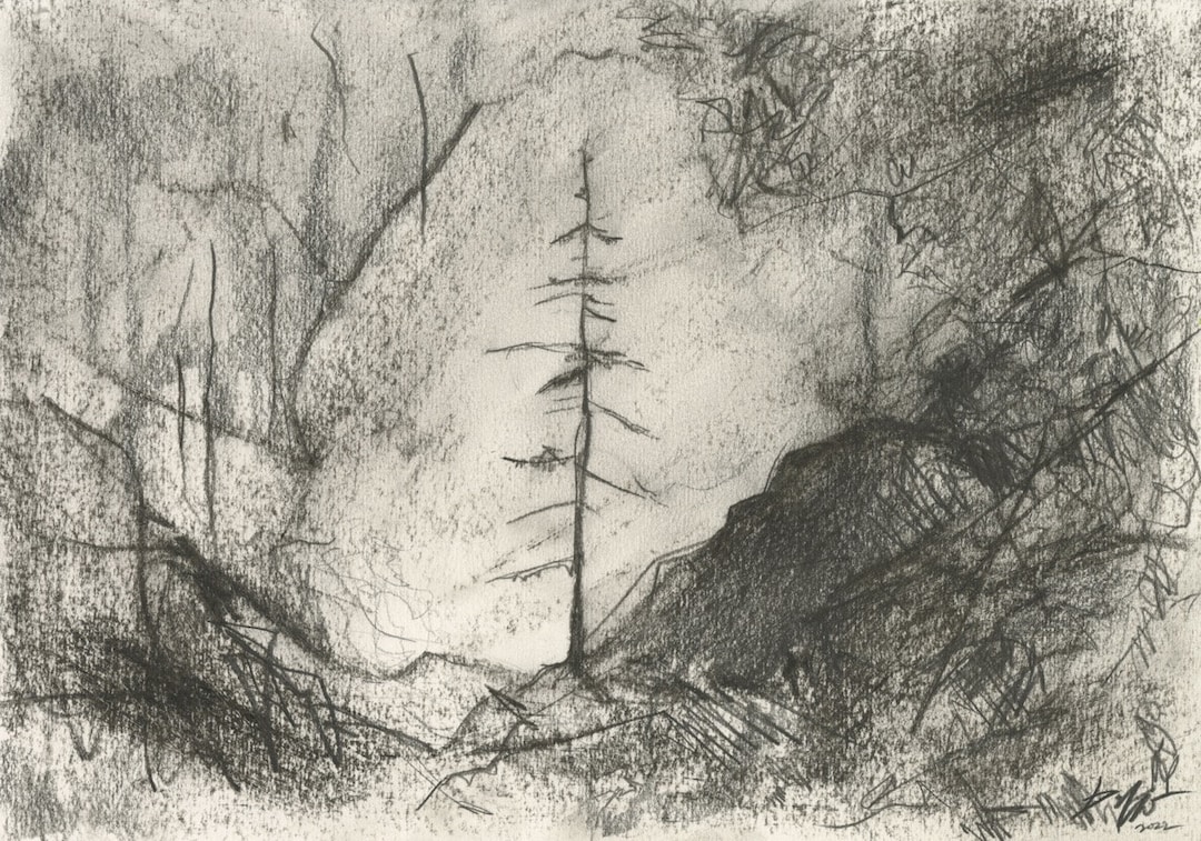 Dead Fir Tree | Original Charcoal Drawing | Dark Art | Abstract - Etsy