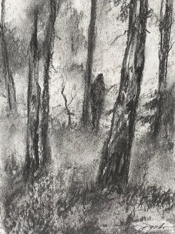 Spooky Forest Drawing