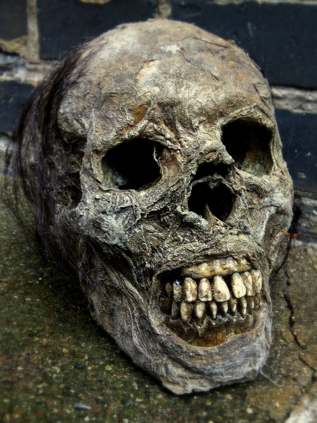 Mummified Skull Prop - Etsy UK
