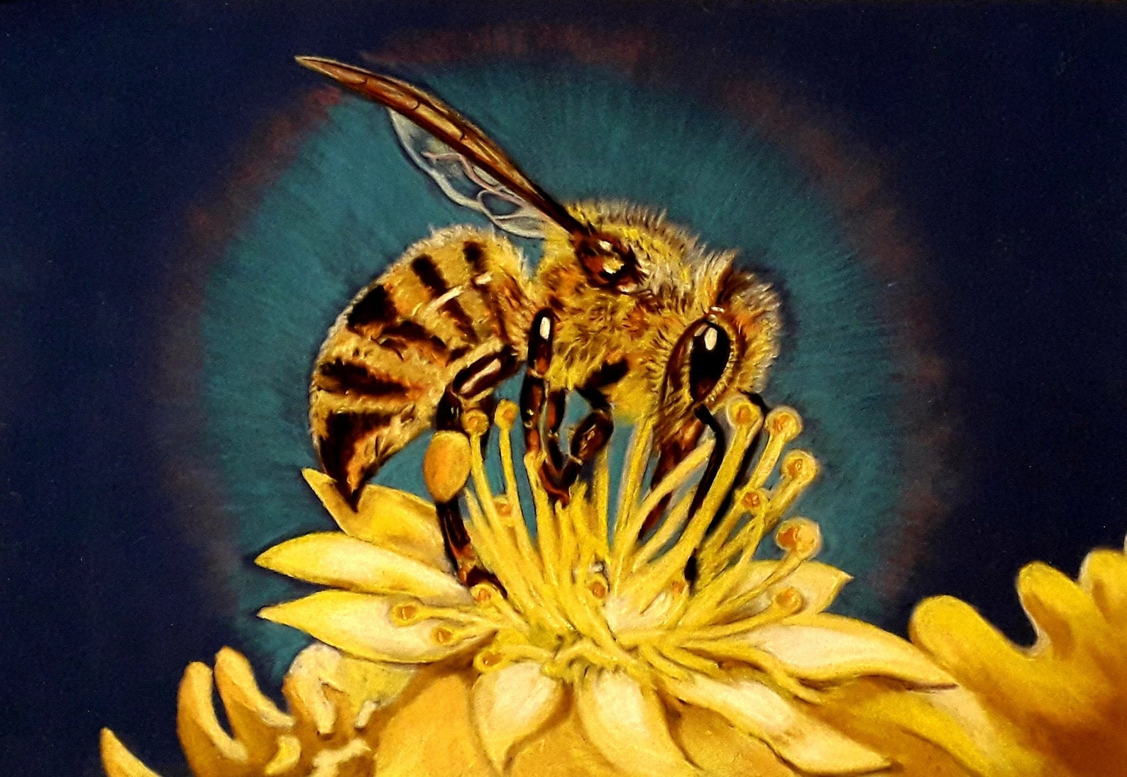 The Honeybee Original Painting Pastels Velvet Paper Wall Art Bee ...