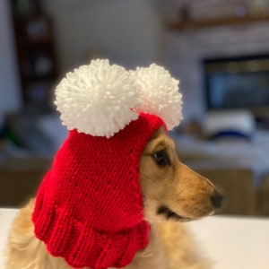 Winter Dog Hat Hand Knit - Etsy