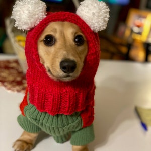 Winter Dog Hat Hand Knit - Etsy