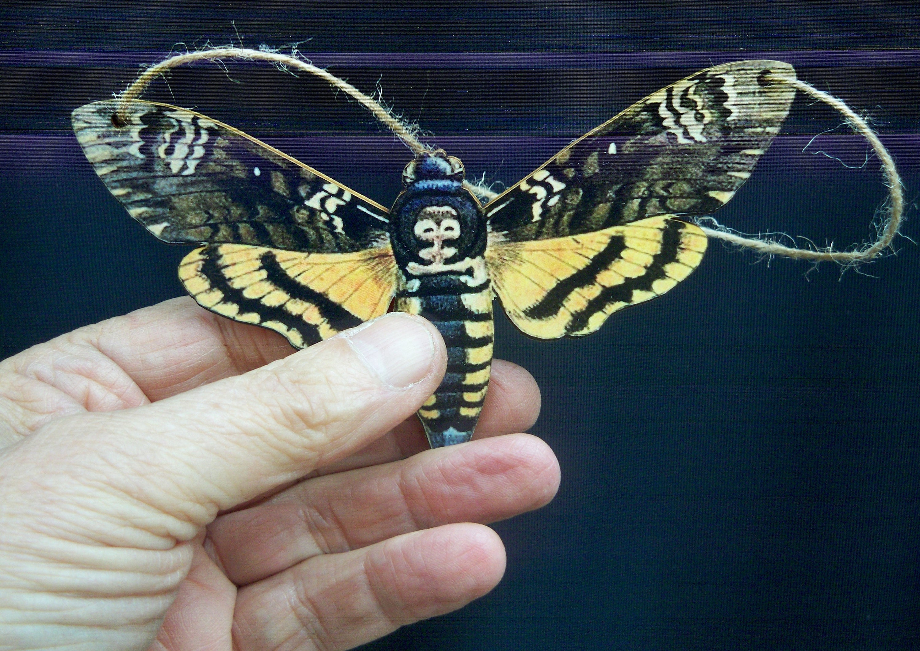 Yellow Death Head Moth. A Laser Wood Cut Out. - Etsy
