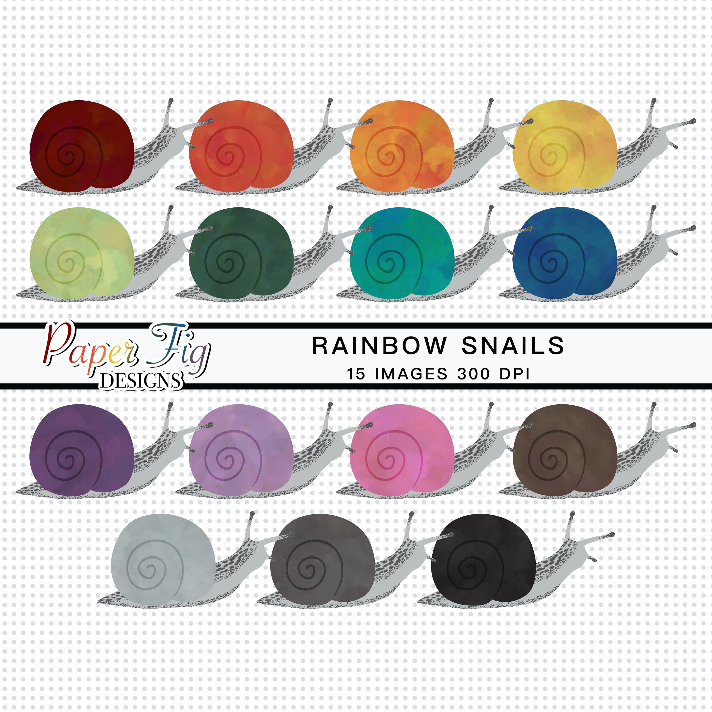 Rainbow Snails Clip Art - 15 Images 300 Dpi - Etsy