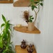 Corner Shelf, Corner Wall Shelf With Radius, Wall Mounted Shelf ...