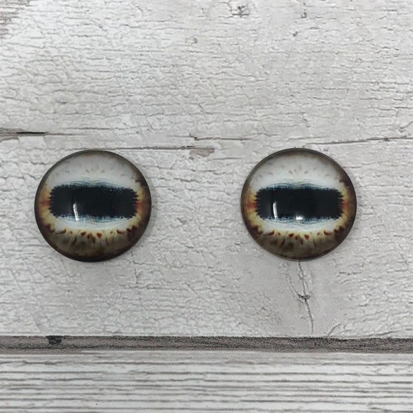 Octopus Eyes - Etsy