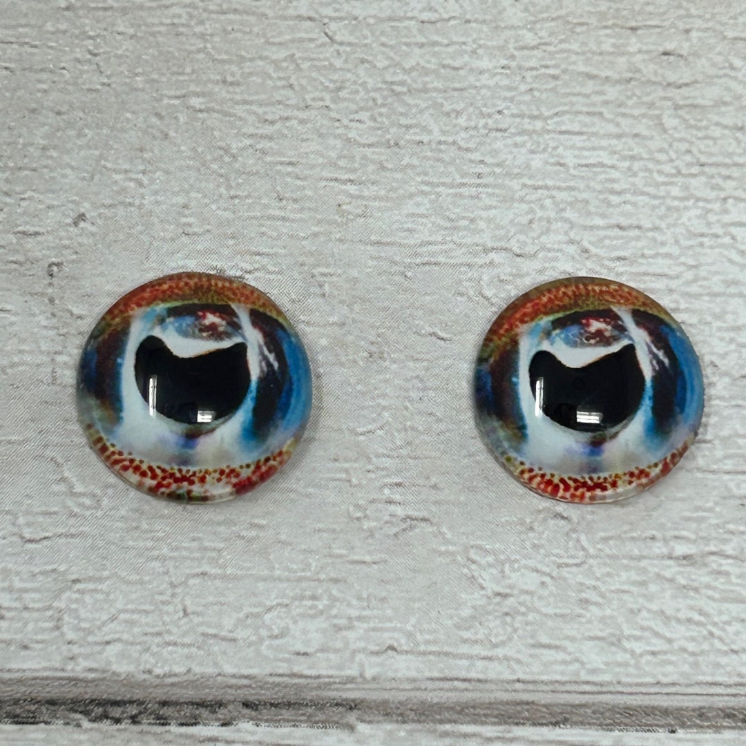 Glass Eye Cabochons in Sizes 6mm to 40mm Octopus Squid Cuttlefish Fish ...