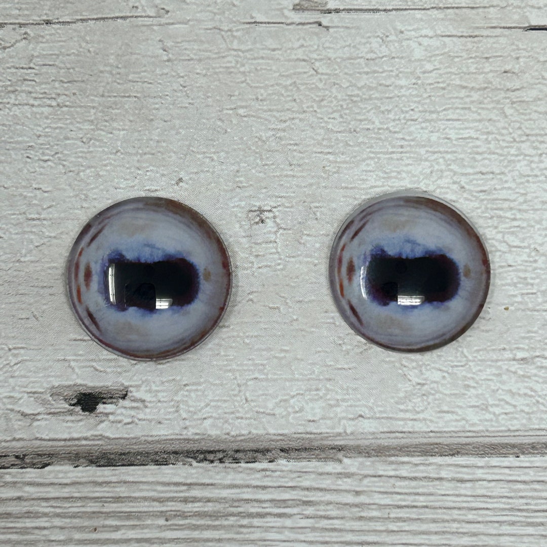 Glass Eye Cabochons in Sizes 6mm to 40mm Sheep Eyes, Horse Eyes, Deer ...