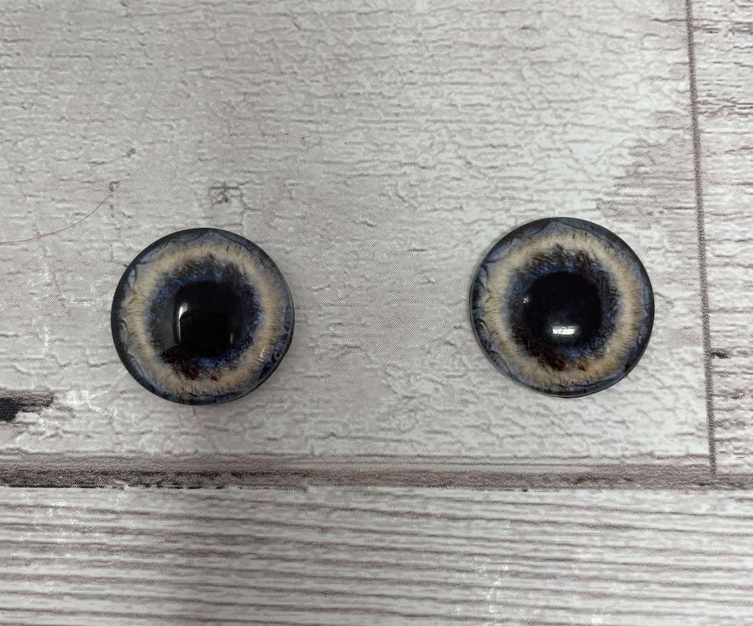 Glass Eye Cabochons in Sizes 6mm to 40mm Dragon Eyes Dog Wolf Iris (487 ...