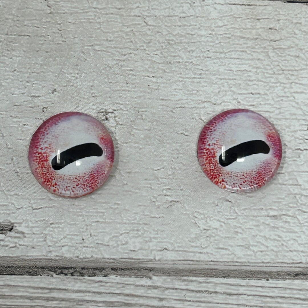 Glass Eye Cabochons in Sizes 6mm to 40mm Octopus Squid Cuttlefish Fish ...