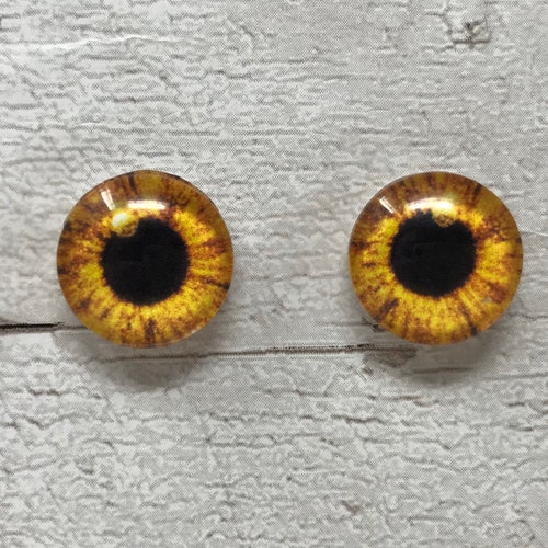 Yellow Glass Eye Cabochons in Sizes 8mm to 40mm Owl Eyes - Etsy