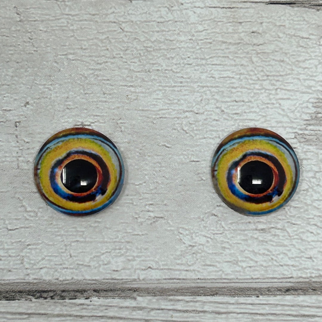 Glass Eye Cabochons in Sizes 6mm to 40mm Octopus Squid Cuttlefish Fish ...