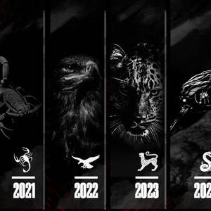 Spartan Race Spear 2024 SNAKE DESIGN Spartan Trifecta Medal Display ...