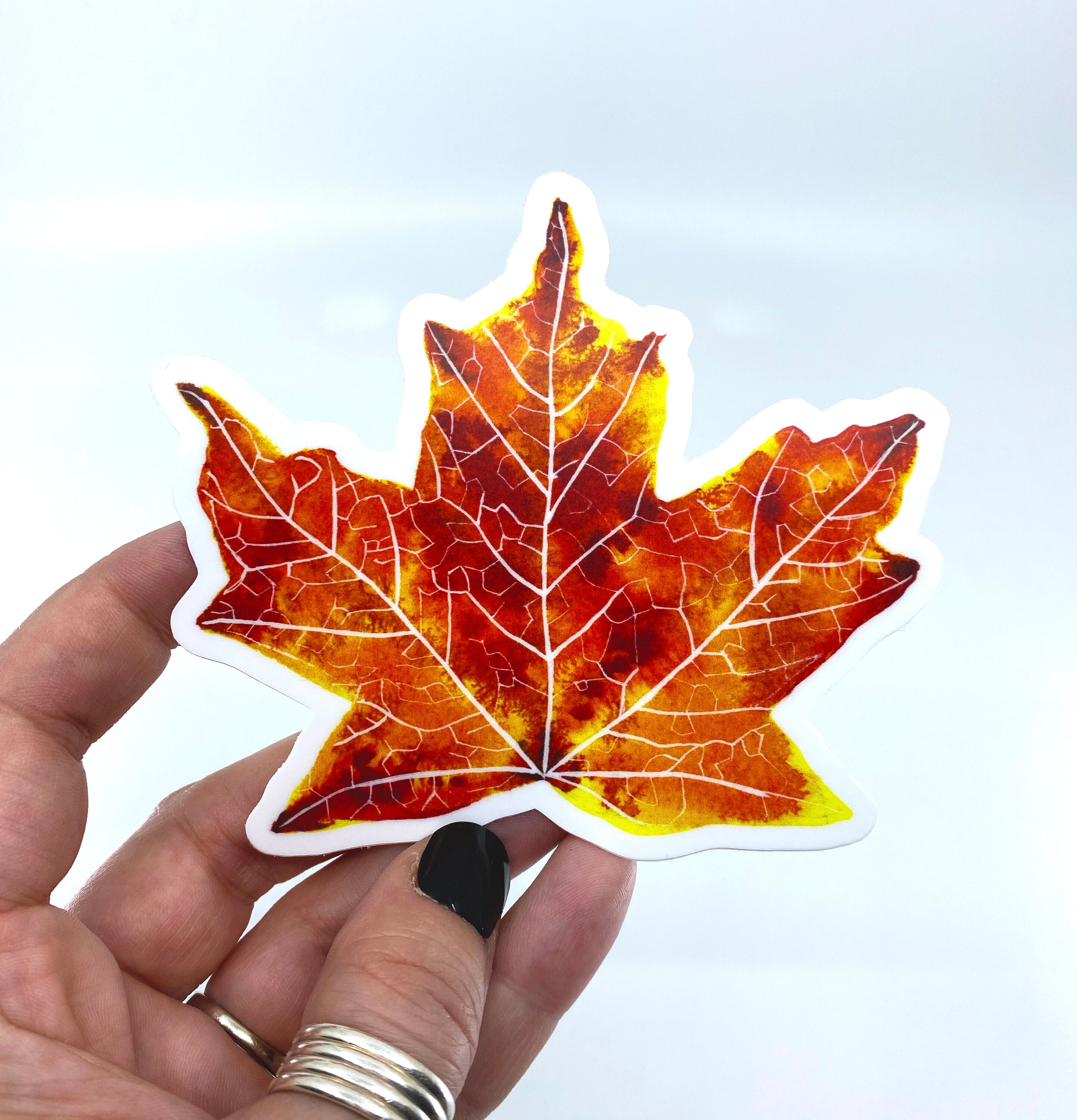 Sugar Maple Leaf Sticker / Adirondacks Mountain Life Autumn High Peaks ...
