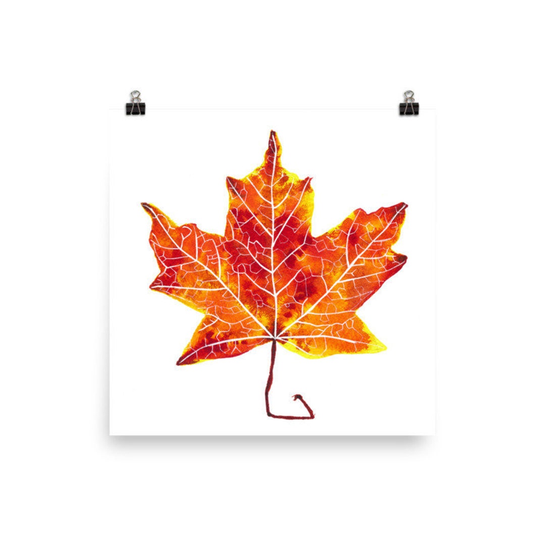 Autumn Sugar Maple Leaf / Adirondack Watercolor Fall Color Nature ...